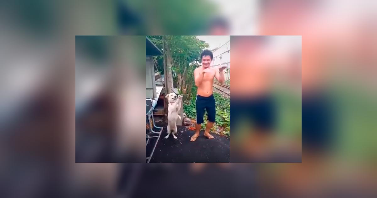 Facebook viral: perro imita la coreografía de su dueño y sorprende con ...