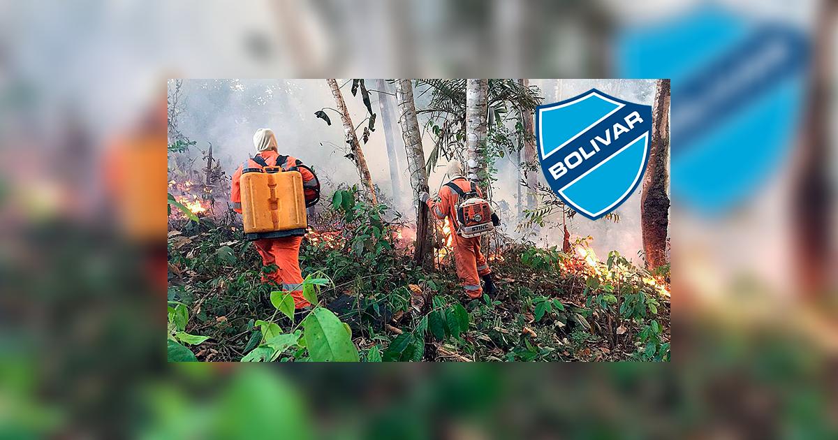 Incendio Amazonas: Bolívar realizará importante donación para acabar ...