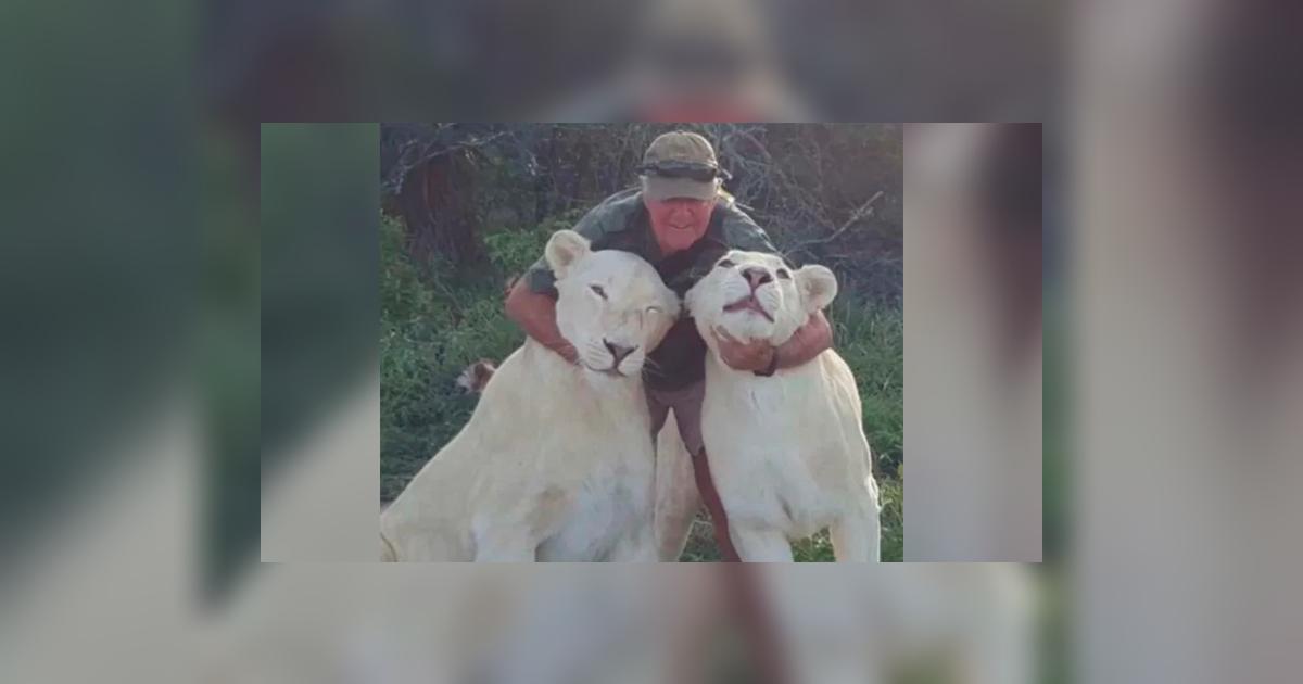 Conservacionista, West Mathewson muere tras ser atacado por sus dos ...