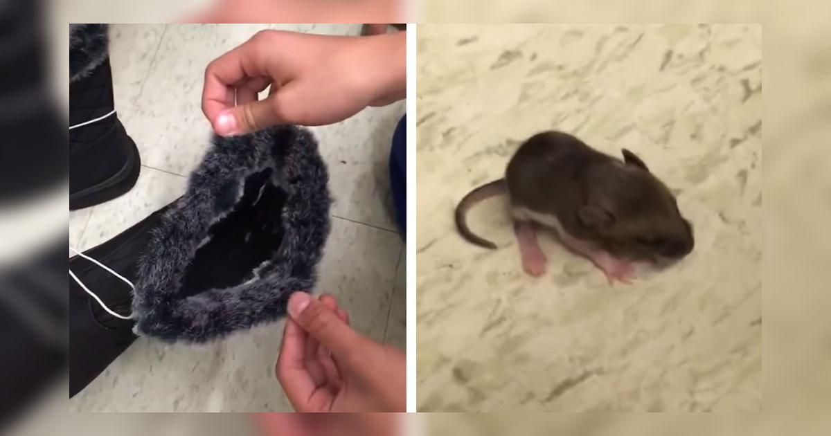 Facebook video viral: Compró un par de botas y encontró una familia de ...