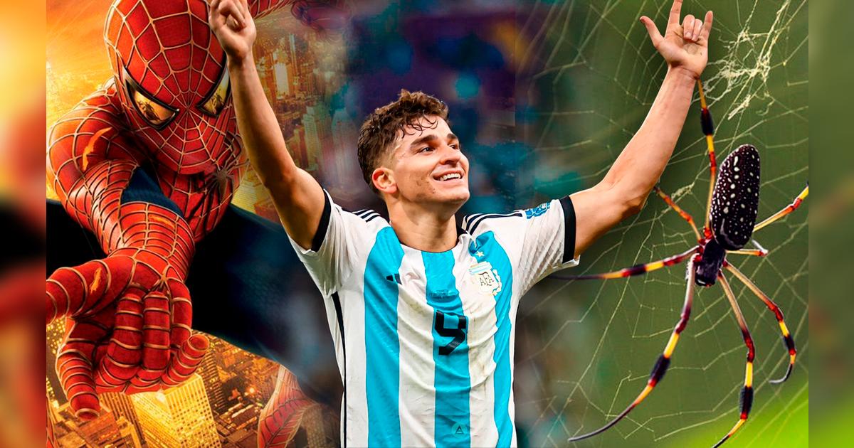 Mundial Qatar 2022: ¿por qué le dicen la ‘Araña’ a Julián Álvarez, el ...