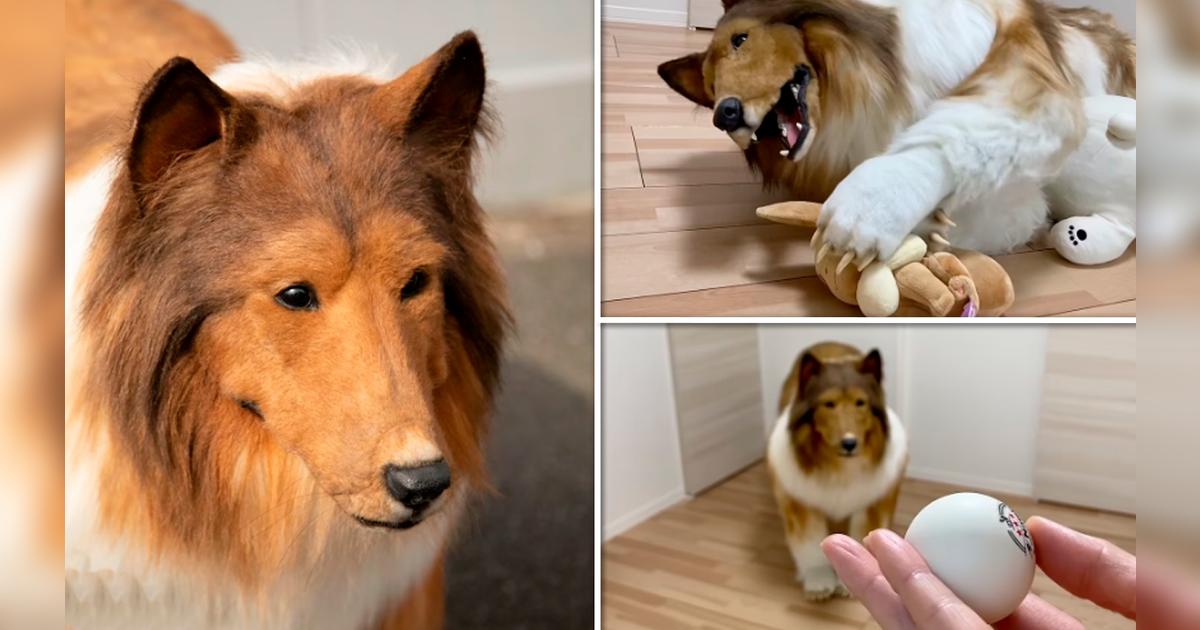 YouTube viral: ¿Qué fue de la vida de ‘Toco’, la persona que gastó más ...