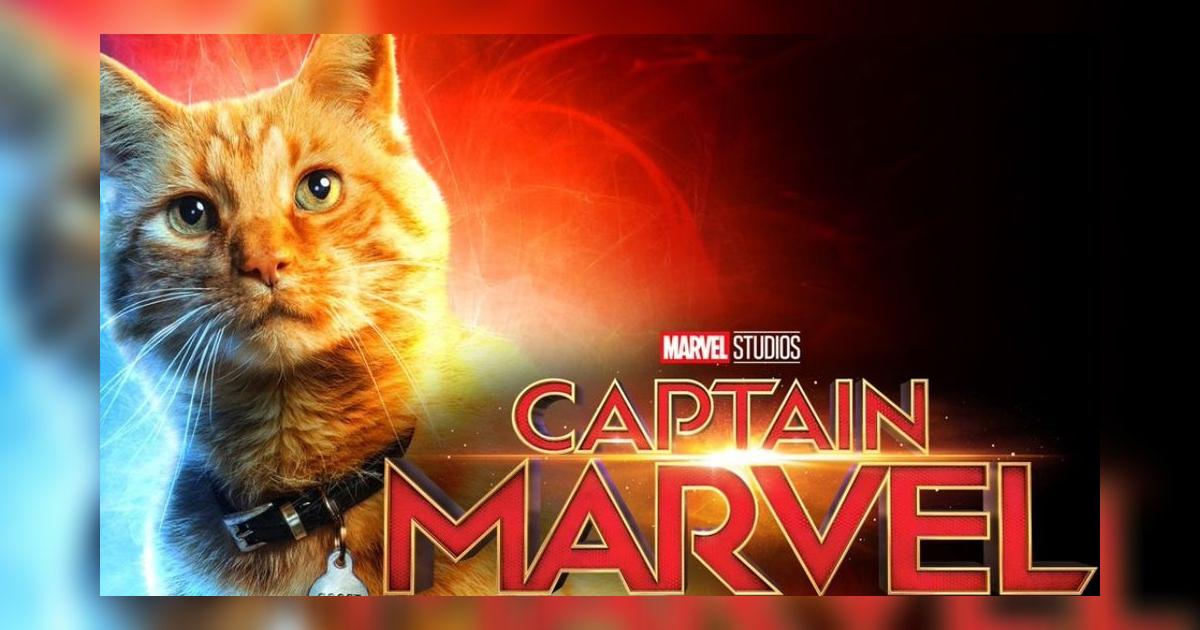 Capitana Marvel: ¿Quién es Goose? Origen e historia del gato de Carol ...