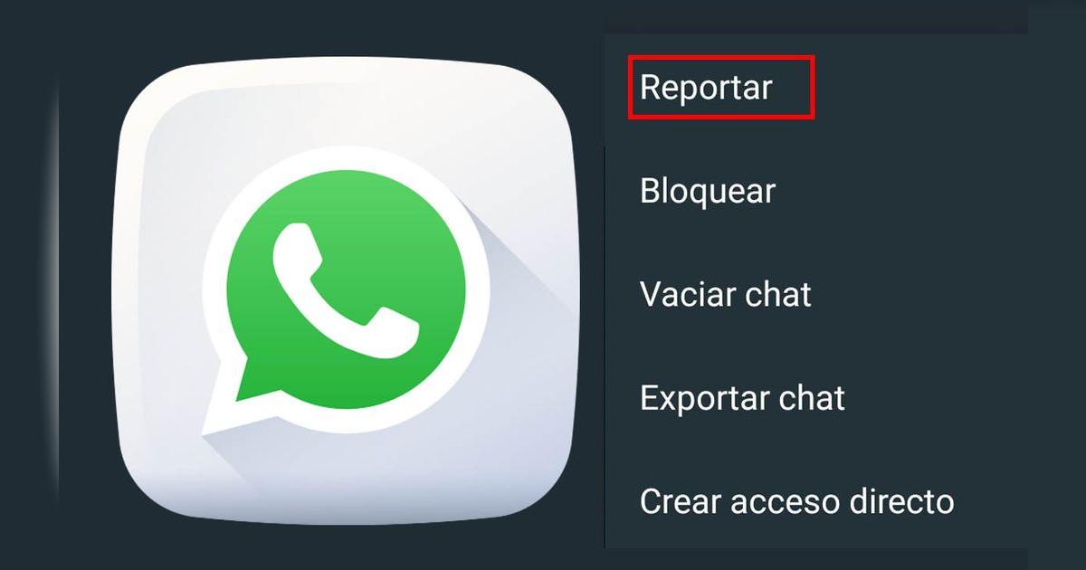 Reportar en WhatsApp: ¿qué significa y para qué sirve? | WPP | Android ...