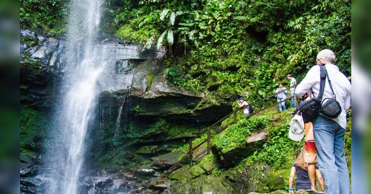 Alto Mayo figura en Top 100 de mejores historias de Green Destinations ...