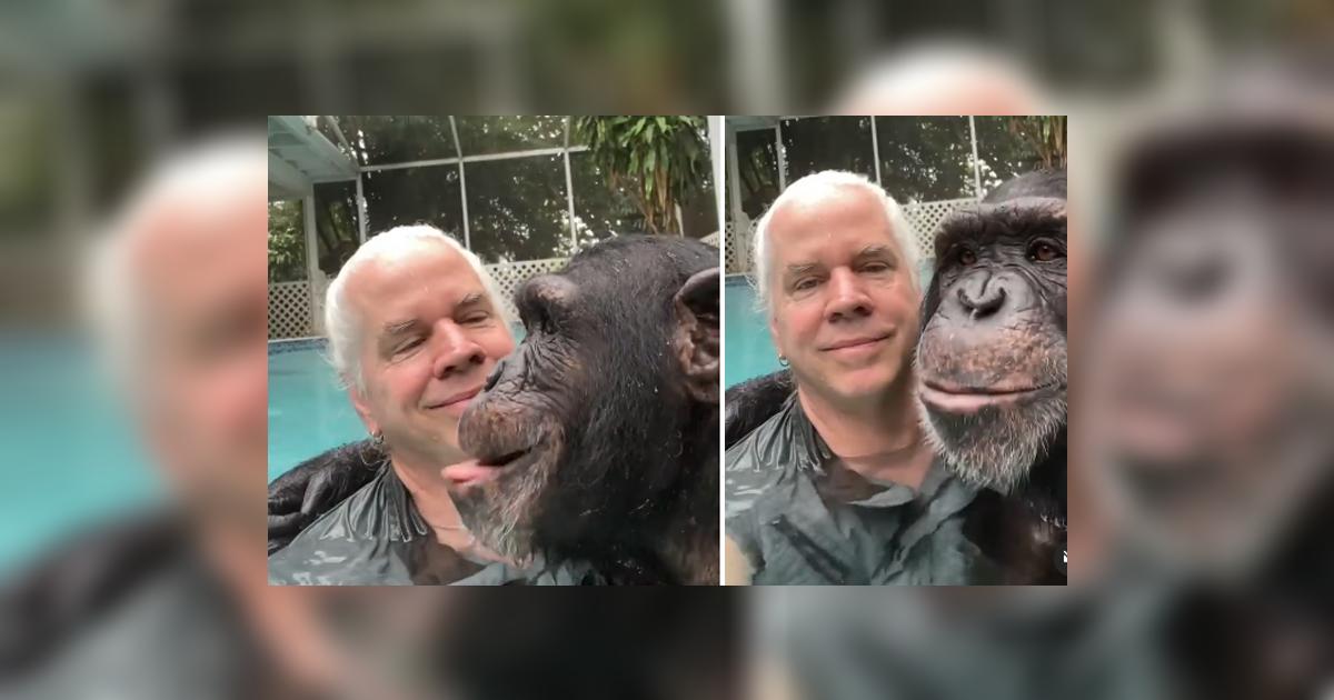 Facebook viral: hombre se reencuentra con mono que cuidó de bebé y ...