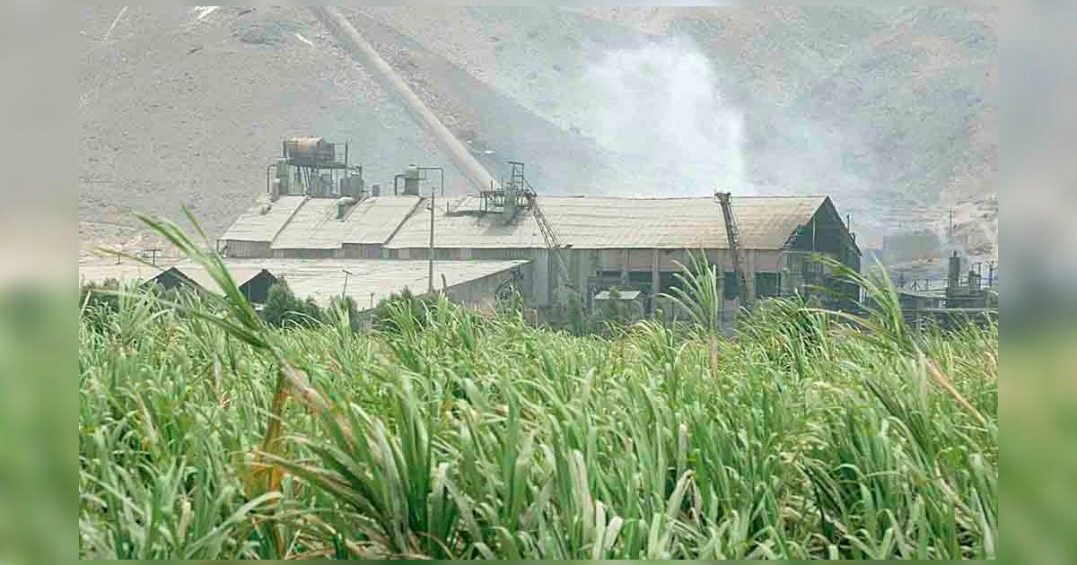Arequipa: rematarán 200 hectáreas de azucarera Chucarapi | Sociedad ...