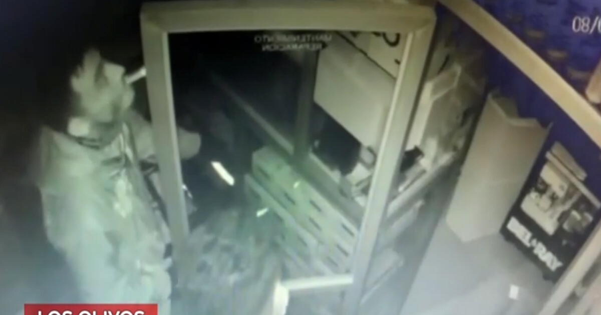 Los Olivos: roban autopartes valorizadas en S/ 35.000 de taller ... Los Olivos: roban autopartes valorizadas en S/ 35.000 de taller ...