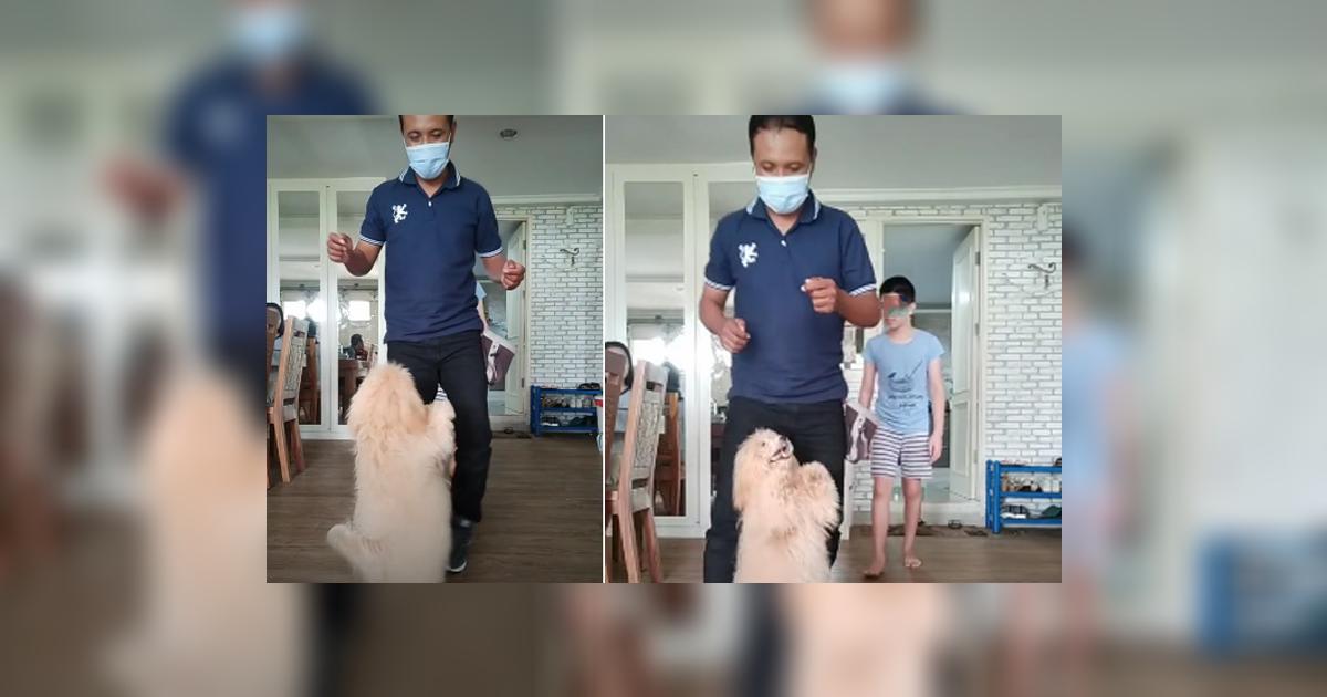 TikTok viral: perro y su dueño hacen coreografía de “Bailando” de ...