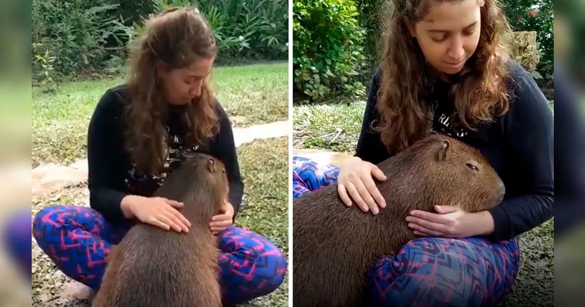 YouTube viral: ronsoco ingresa a casa de joven y se acerca a ella para ...