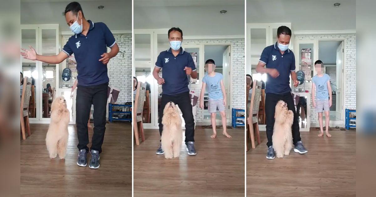 TikTok viral: hace coreografía con su perro y can se ‘roba el show’ con ...