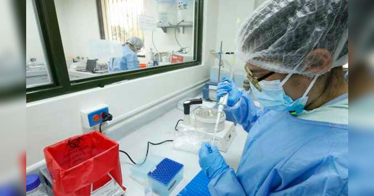 Coronavirus en Perú: laboratorios que procesan pruebas moleculares ya ...