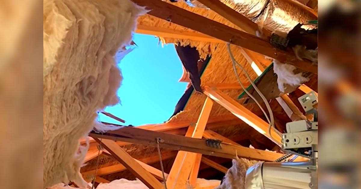 YouTube viral: Paracaidista sobrevive a caída de más de 4.500 metros de ...