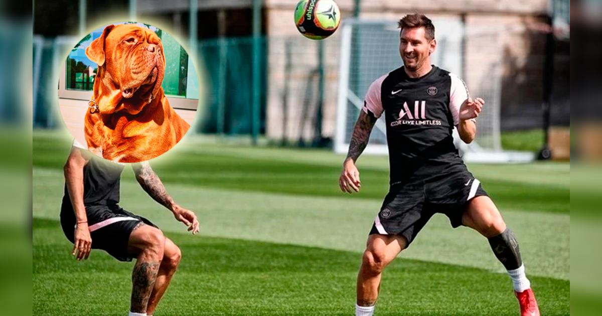 Lionel Messi espera en París a su perro de 80 mil dólares | Deportes ...