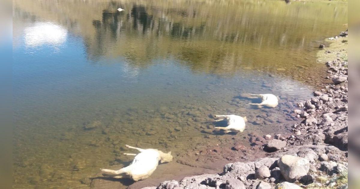 Modelo extractivista deja graves consecuencias en el medio ambiente y ...