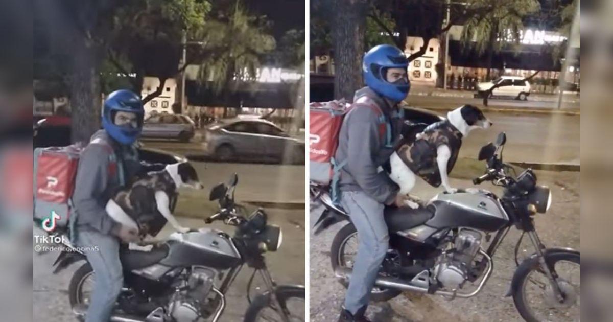 YouTube viral: perrito acompaña a su dueño mientras trabaja como ...