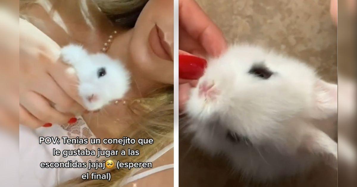 TikTok viral: Copito, el pequeño conejo que adoraba jugar a la ...
