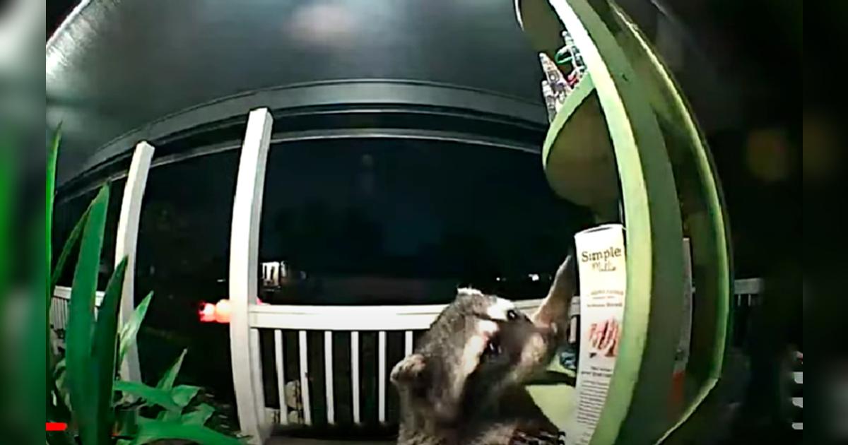 Facebook viral: joven escucha extraños sonidos de noche y capta a ...