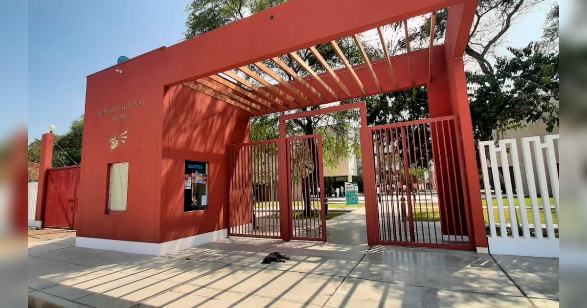 Lambayeque: Museo Nacional Sicán reabre sus puertas luego de 2 años ...