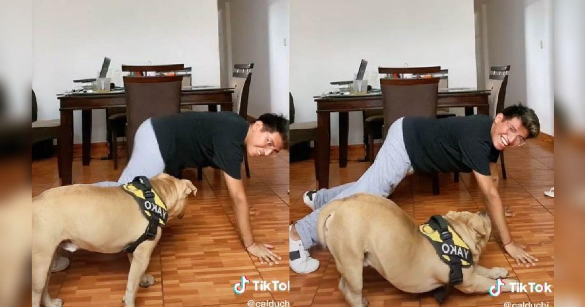 TikTok viral: peruano intenta el popular baile de Anitta, pero su perro ...