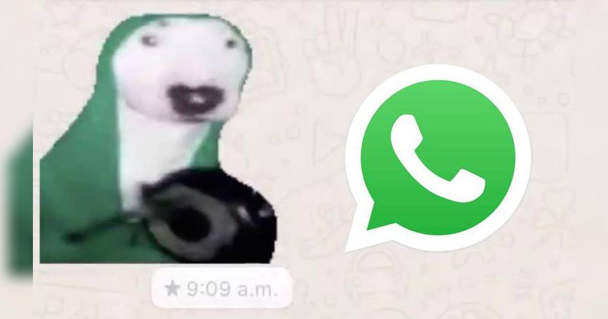 WhatsApp: ¿cómo tener los mejores stickers con sonido, como el perrito ...
