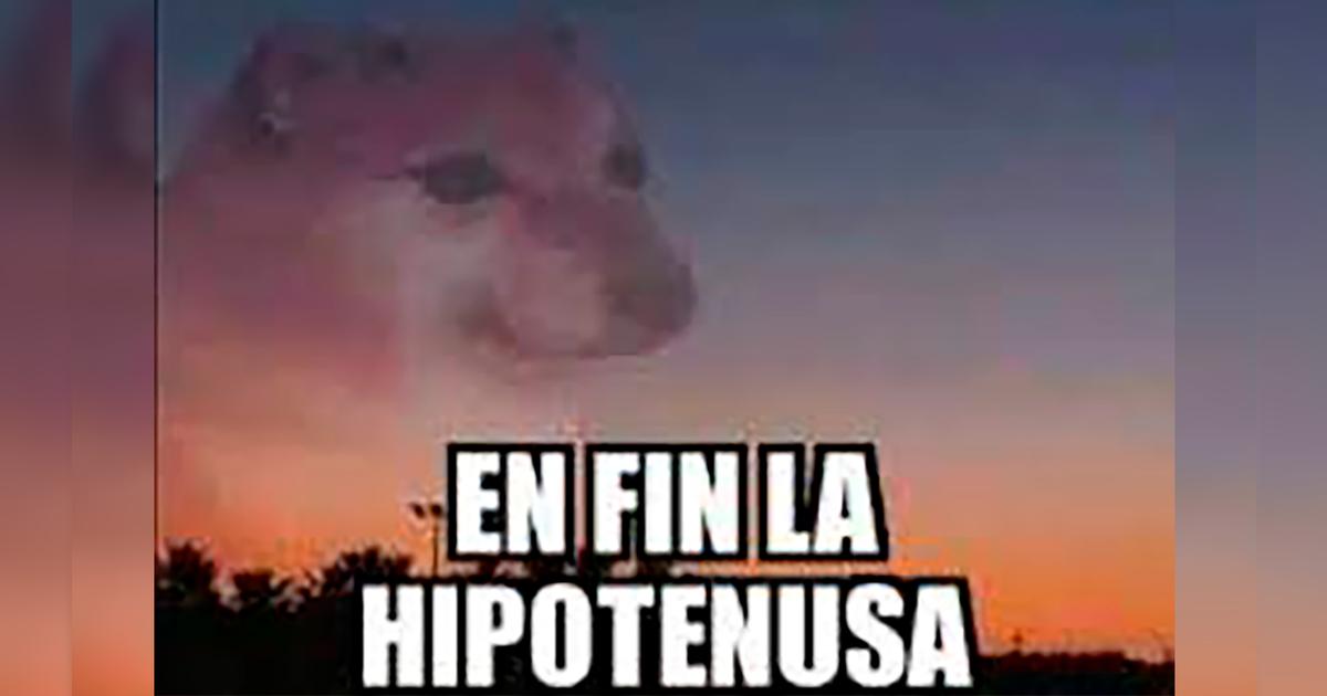 ¿Qué significa la frase “En fin, la hipotenusa” y en qué situaciones ...