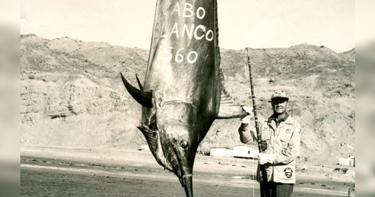 ¿Cuánto pesaba el merlín negro más grande del mundo, pescado en Perú ...