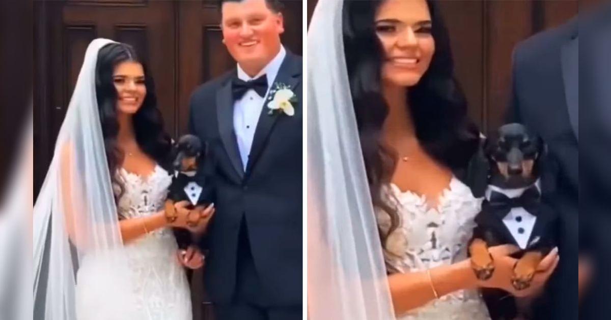 Facebook viral: perro luce un smoking para acompañar a su dueña en el ...