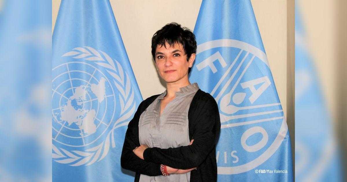 FAO: “Lo más importante es garantizar el acceso a la alimentación ...