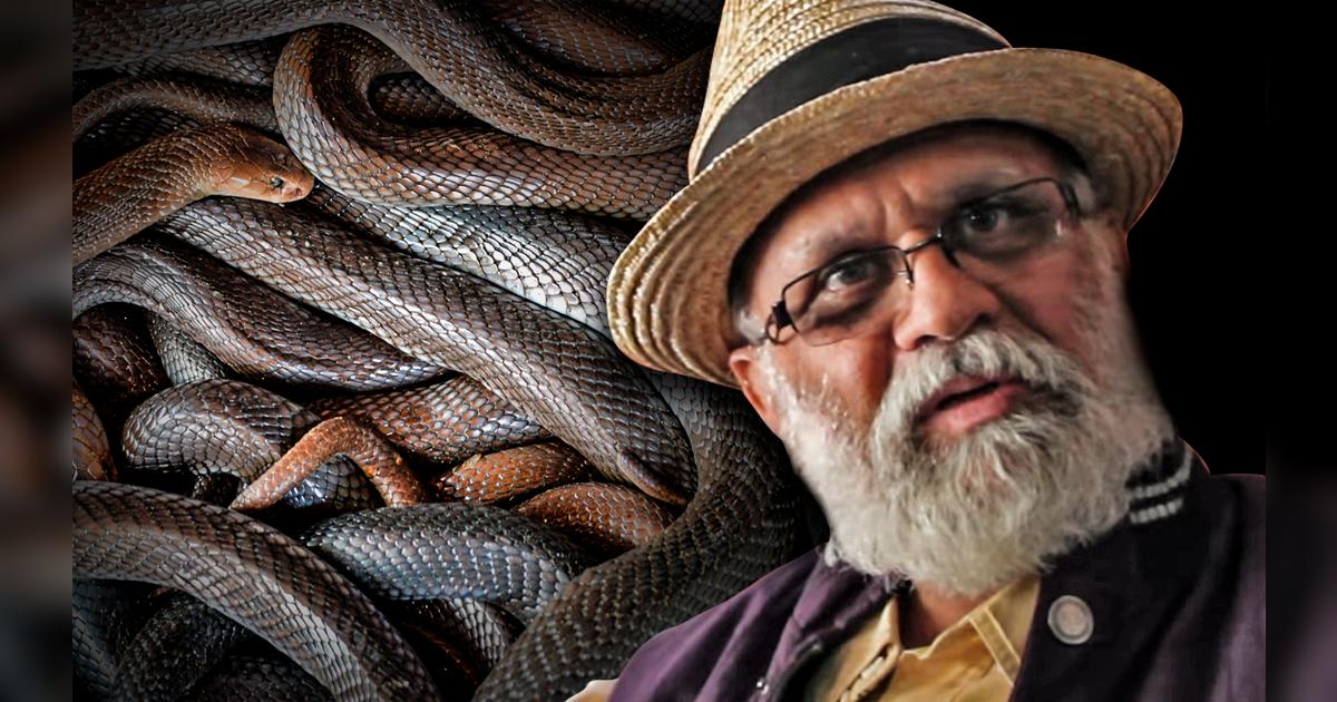 ¿Qué pasó con el hombre que se encerró 3 días con 72 serpientes ...