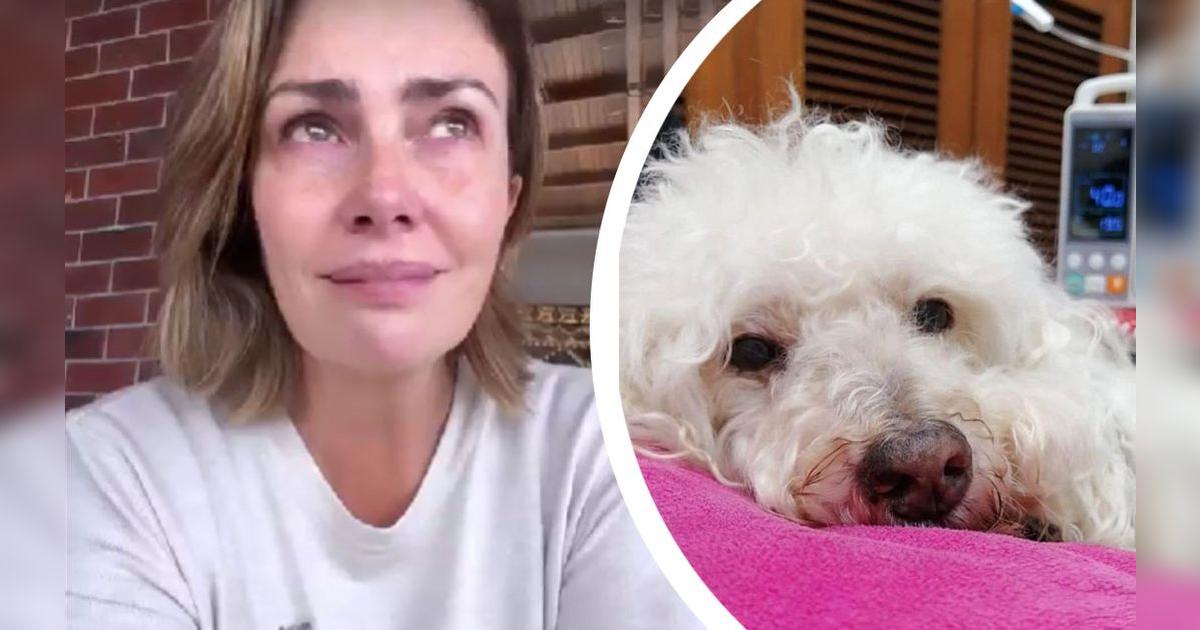 Instagram Almendra Gomelsky desconsolada tras aplicar eutanasia a su ...