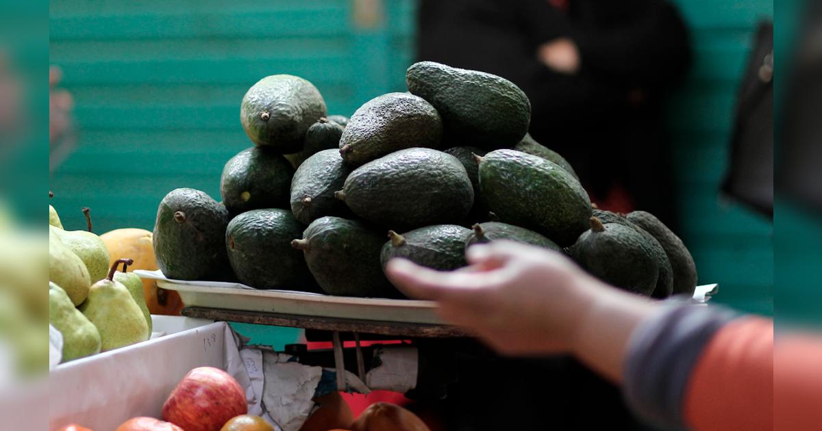 Moquegua planea preparar la ensalada de palta más grande del mundo lrsd ...