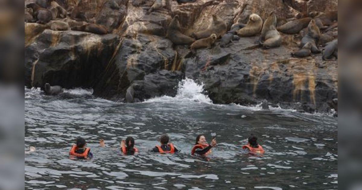 ¡Lo mejor del Callao! Entérate de su deliciosa gastronomía e ...