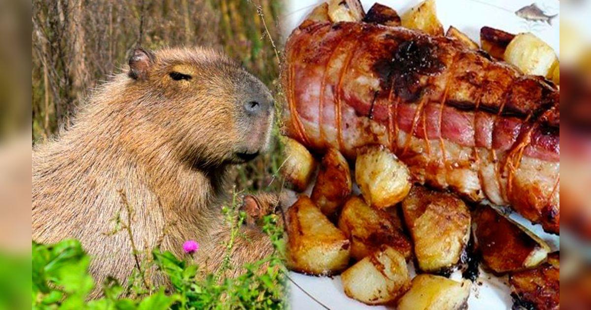 Chigüiro, el exotico platillo colombiano que sorprende a los turistas ...