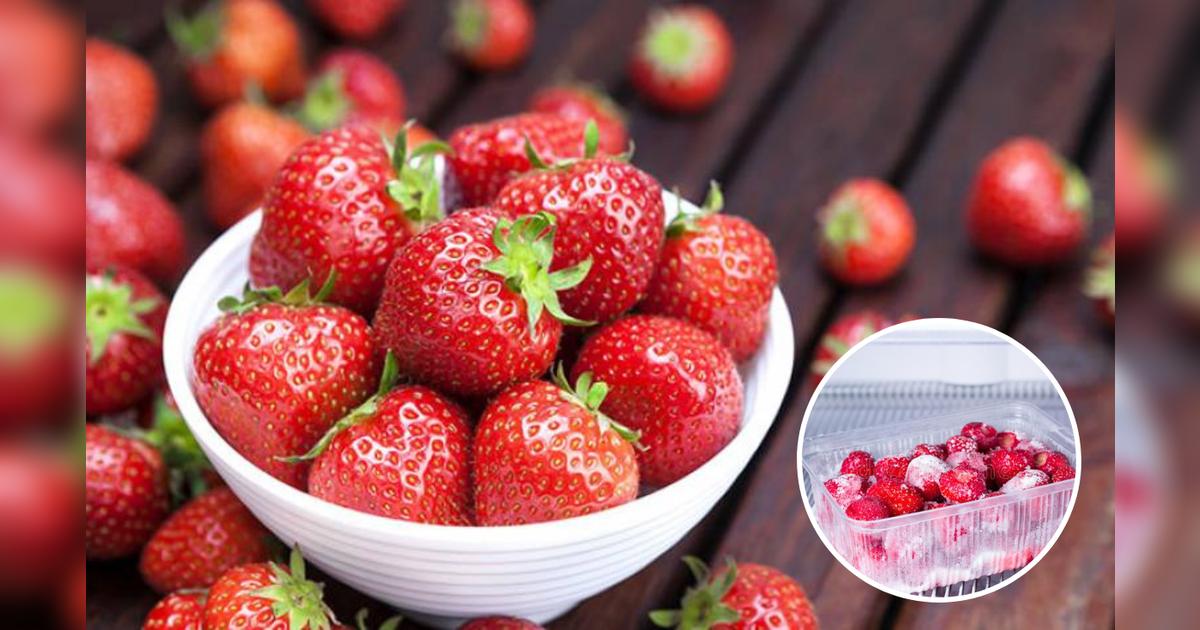 Truco para conversar las fresas frescas | 5 tips para tener fresas por ...