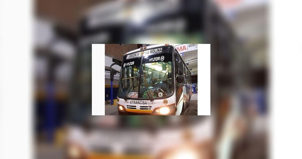 Desisten ante el Corredor Rojo: la línea 40 ya no circulará por algunas avenidas de La Molina ...