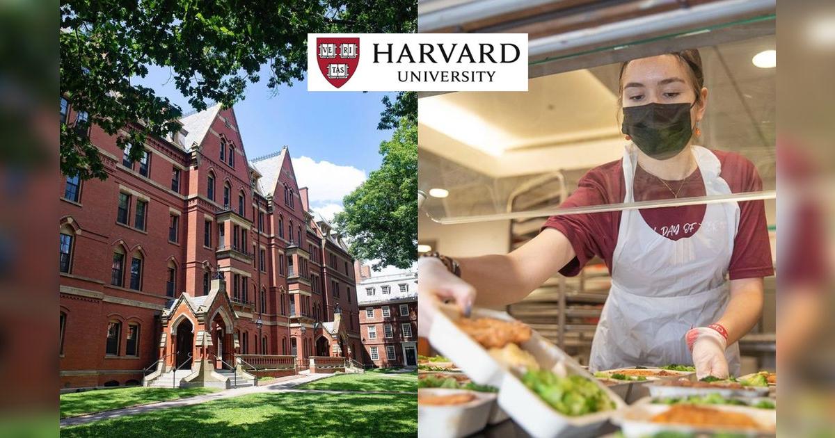 Harvard: ¿cuánto cuesta y qué sirven en el comedor de una de las ...