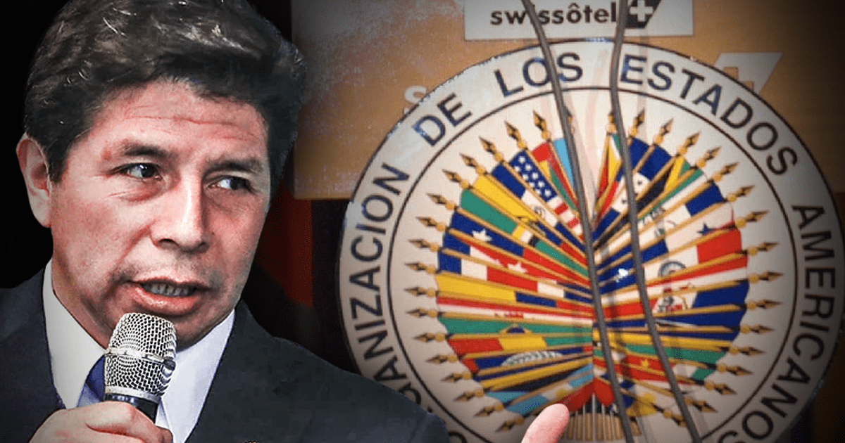 Pedro Castillo El Gobierno Busca A La Oea Para Defenderse Y Pide