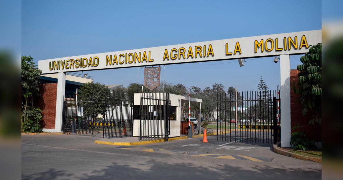 Marcha en Lima: estudiantes de la Universidad Nacional Agraria ...