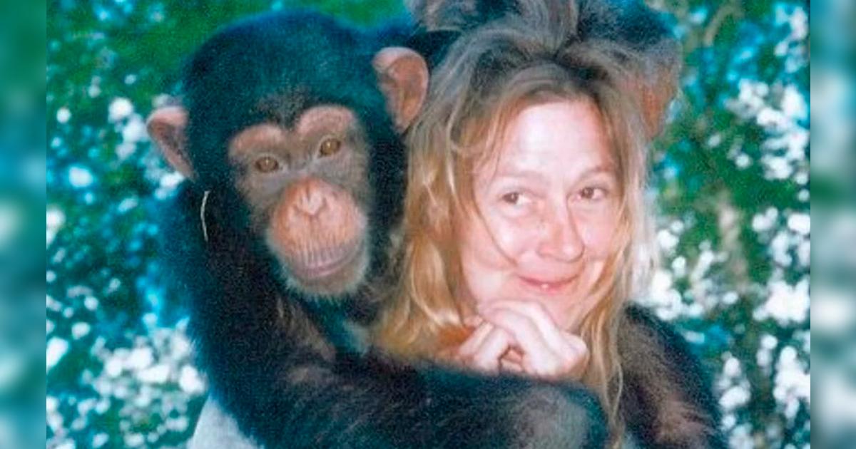 Charla Nash | Estados Unidos | Chimpance Travis | La mujer a la que un ...