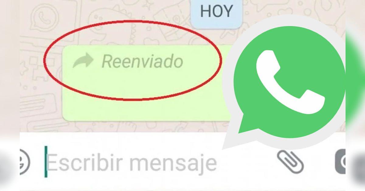 WhatsApp: ¿cómo reenviar fotos y memes sin que aparezca la etiqueta de ...