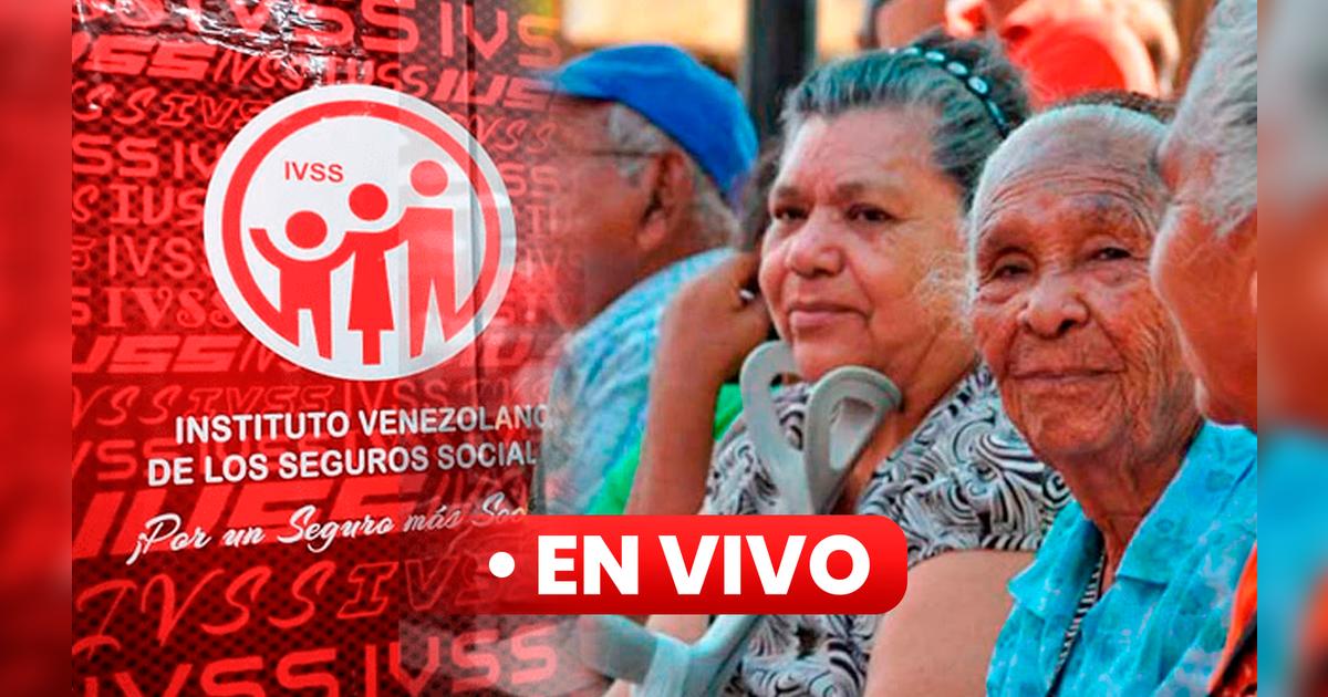 IVSS 2023: cómo consultar con cédula mi Cuenta Individual del Seguro ...