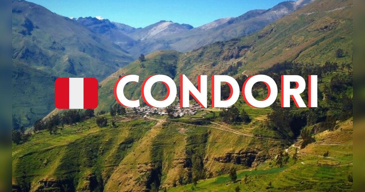 ¿Qué significa el apellido "Condori" en el Perú y cuál es su origen ...