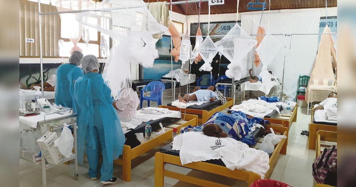 Minsa | Alertan de que aumentarán los casos de dengue por lluvias ...