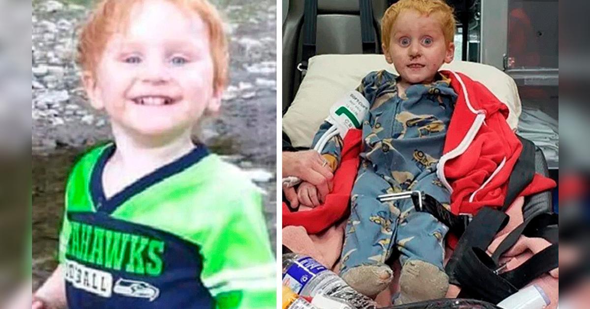 Ryker Webb, el niño de 3 años que desapareció 2 días en el bosque y ...
