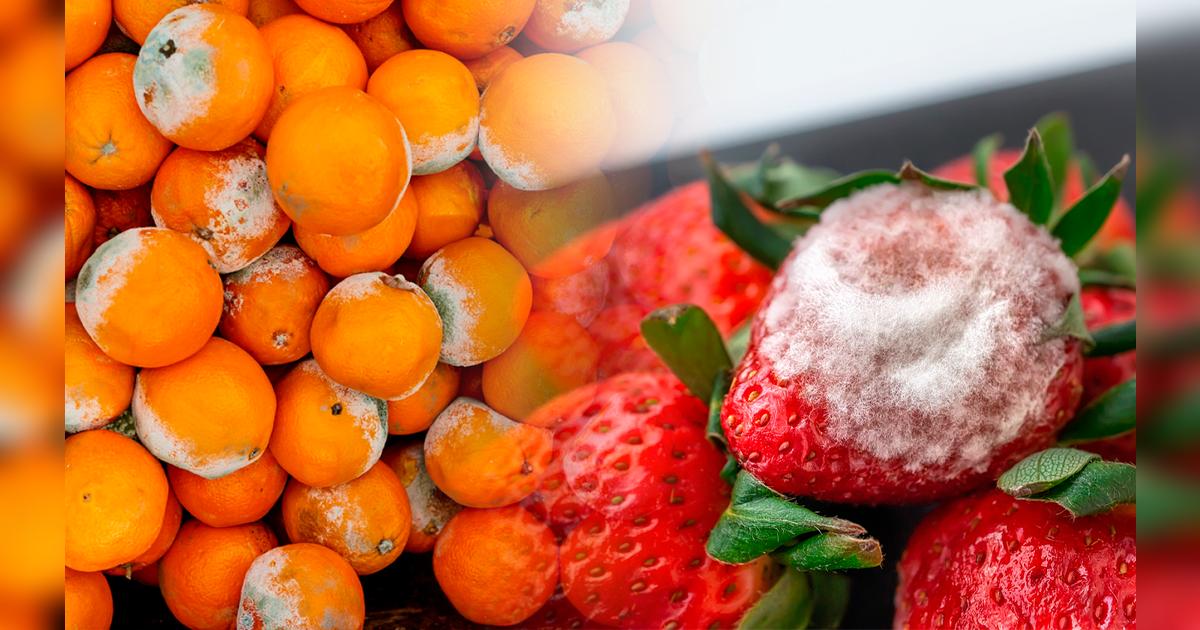 Si la fruta tiene hongo, ¿debería cortar la parte afectada y comer el ...