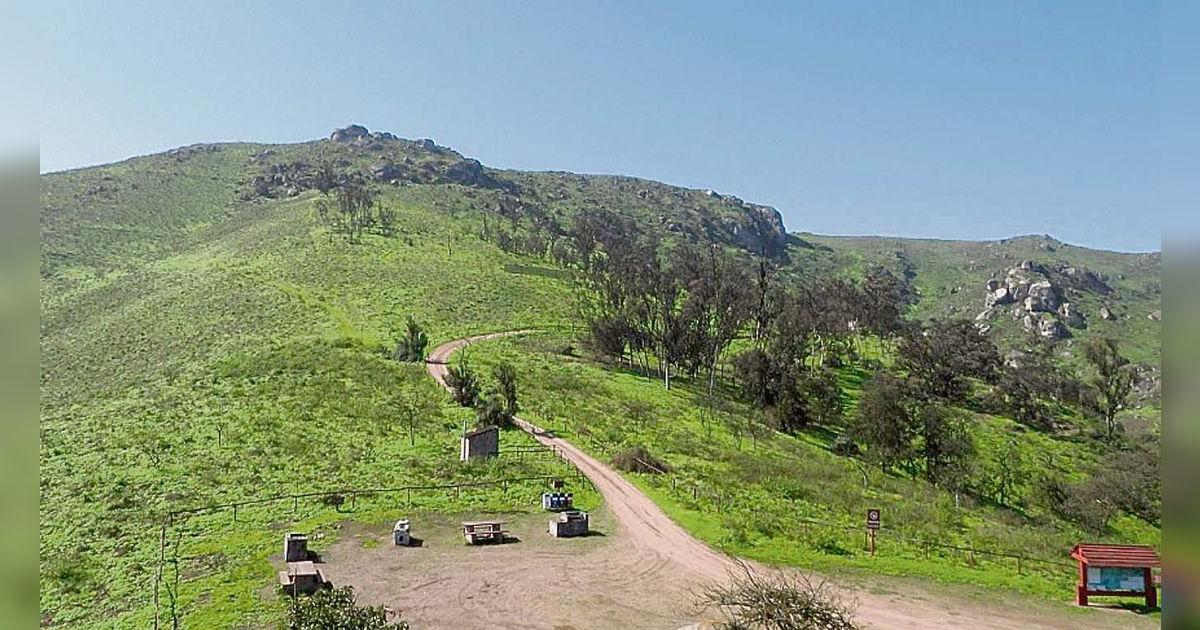 Serfor regresa a las lomas costeras a la lista de ecosistemas ...