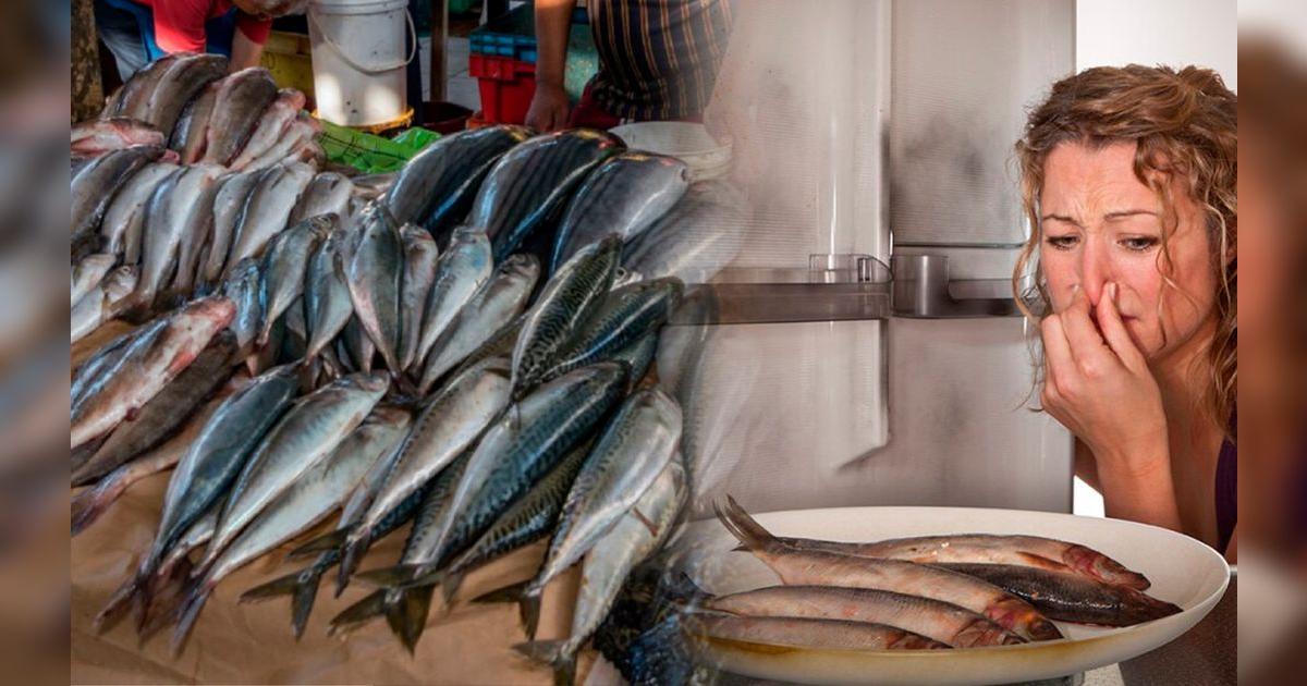 Semana Santa 2023: Cómo conservar el pescado en la refrigeradora y que ...