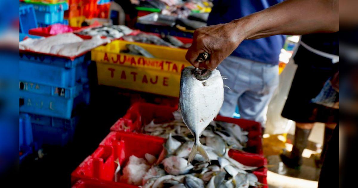 Terminal pesquero Callao: hacen largas colas de 2 horas para comprar ...