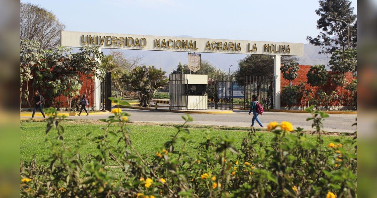 ¿Qué puesto ocupa la Universidad Agraria La Molina en el ranking QS de ...